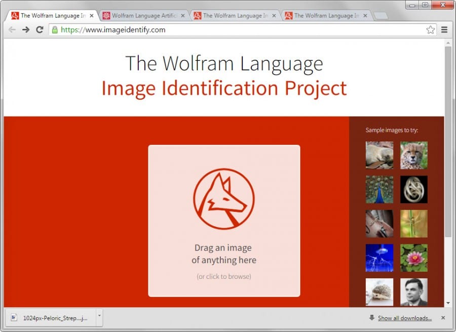 The Wolfram Language Image Identification Project - gHacks Tech News